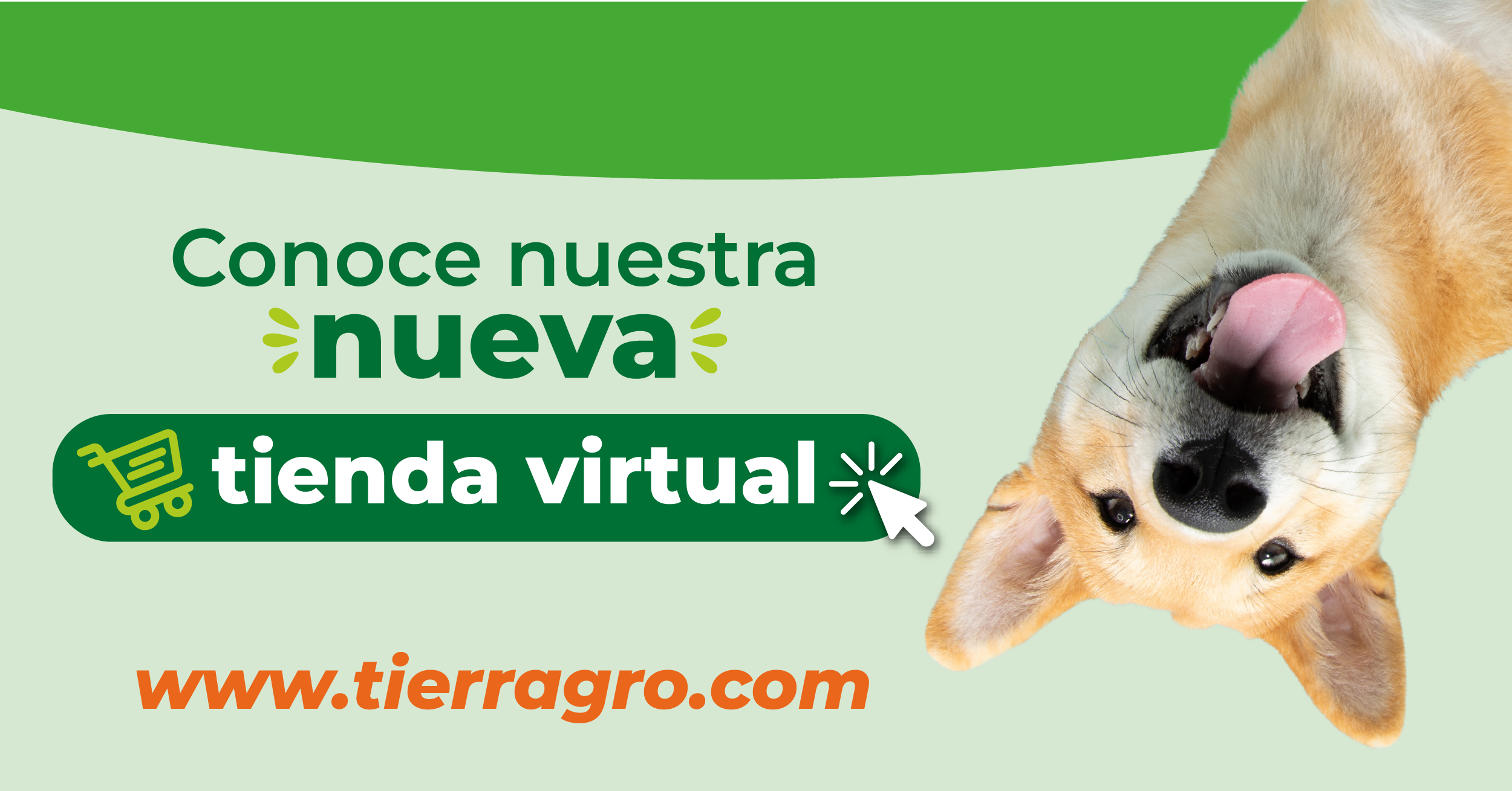 Royal Condor | Equipo de Fumigación Royal Condor en Tierragro