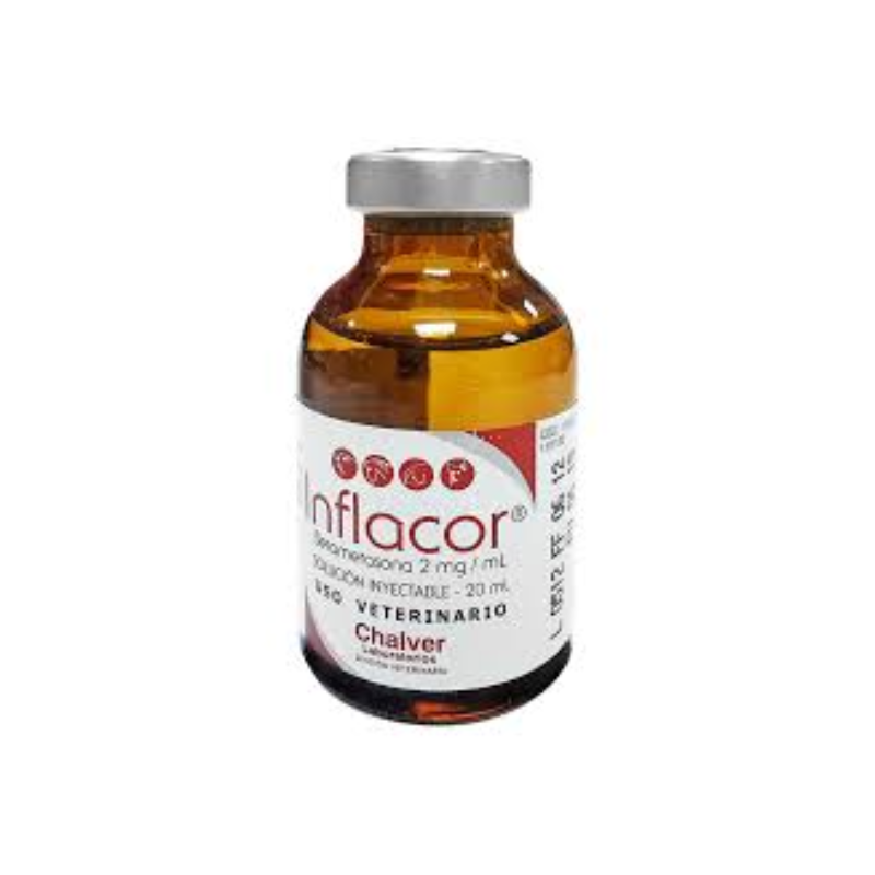 Inflacor Inyectable 10 ml: Antiinflamatorio para Caballos y Bovinos ...