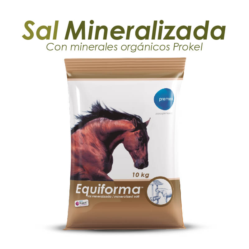 suplequin equinos| Equiforma sal mineralizada 10kg – Tierragro