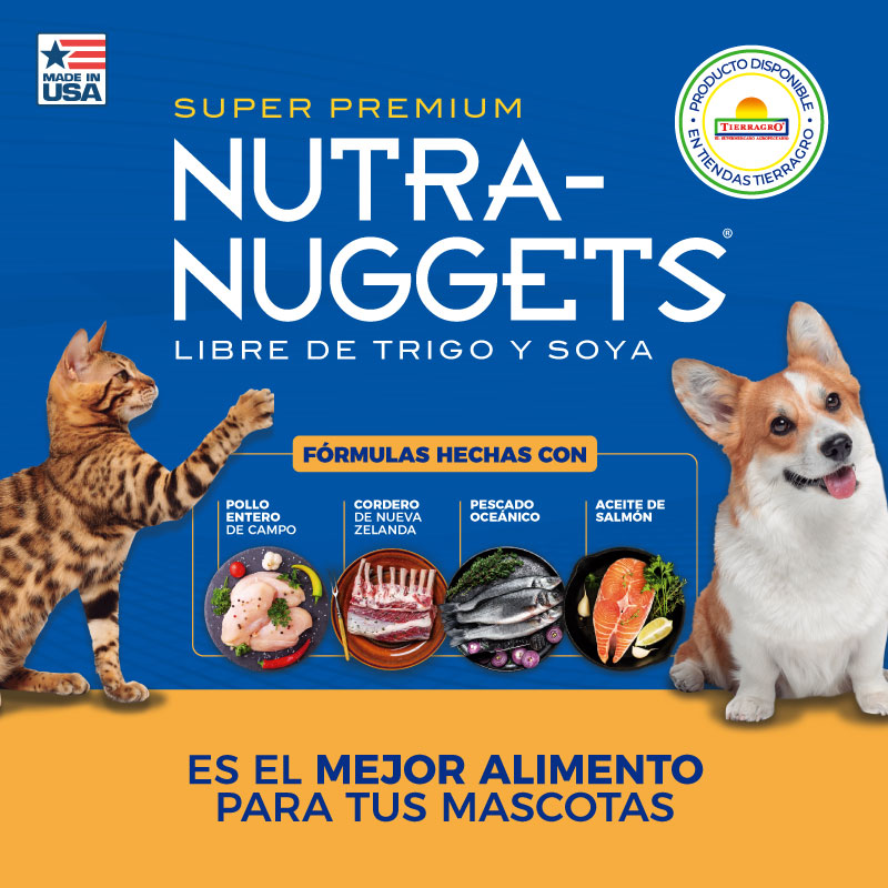 Categorías