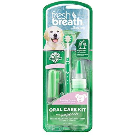 Fresh Breath Kit Cuidado Oral Puppy | Farmacia Animales y Mascotas ...
