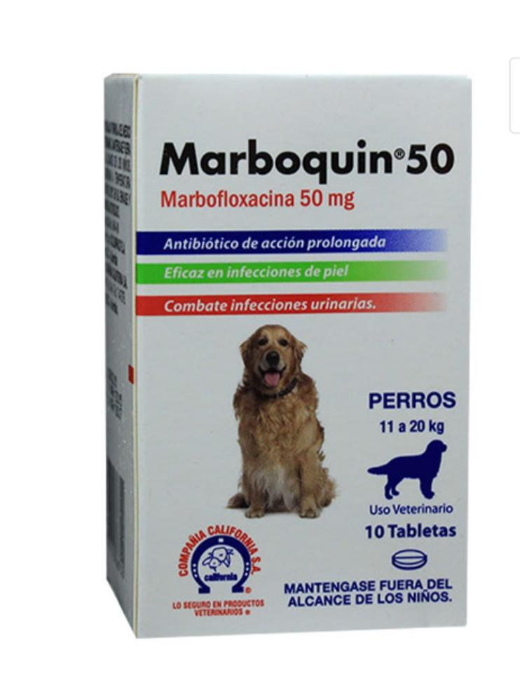 Marboquin 50 Mg perro 11 a 20 kg x 10 tab | Farmacia Animales y ...